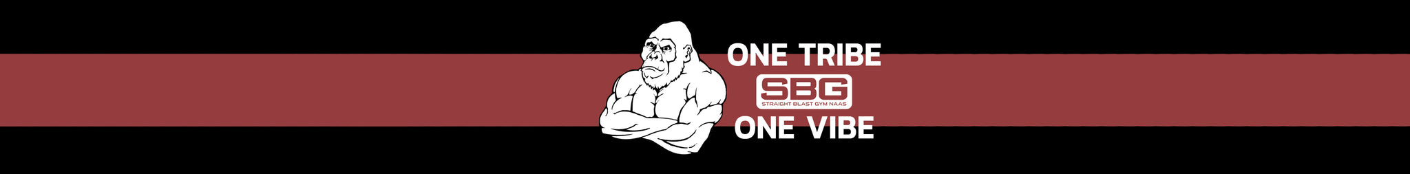 SBG - Straight Blast Gym Store